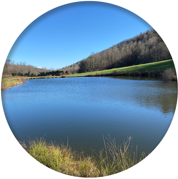 Introducing Blue Ridge Ranch - Hope For His Children